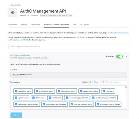 Call An Identity Provider Api