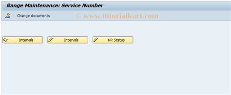 EHSSERV11 SAP Tcode Number Range Maintenance Medical Service