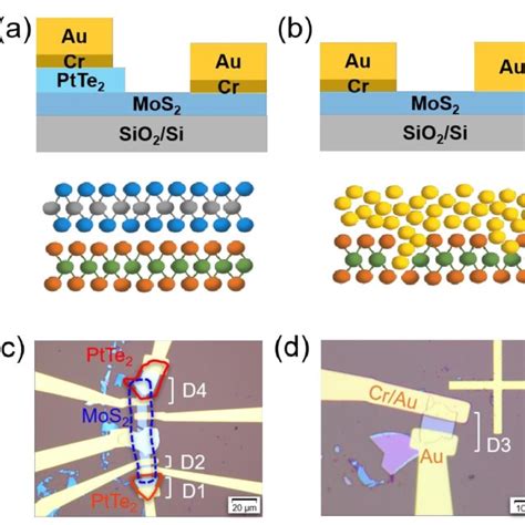 A Schematic Illustration Of Ptte2 Mos2 Schottky Diode Device Lower Download Scientific