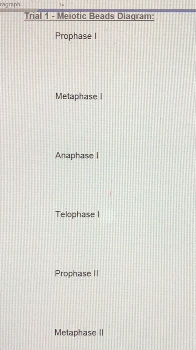 Ragraph Trial 1 Meiotic Beads Diagram Prophase L