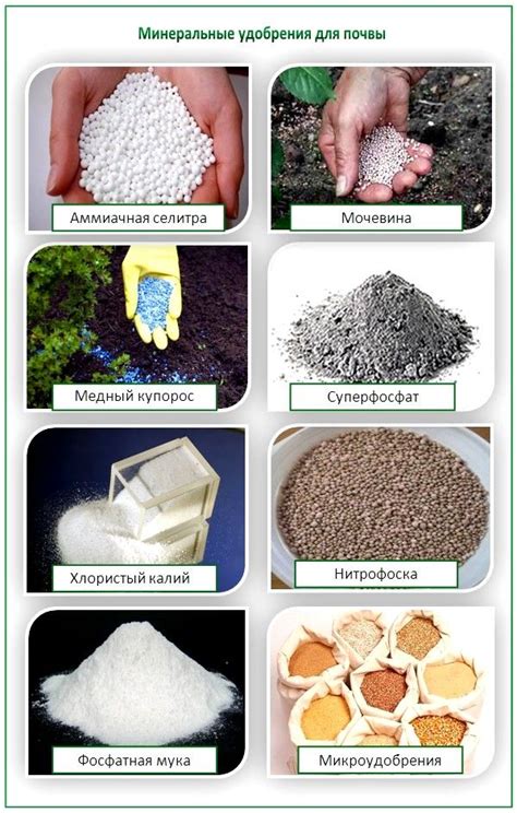 Виды удобрений для почвы классификация удобрений для растений Овощной огород Огородничество