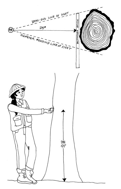33 Instruments For Measuring Tree Diameter Forest Measurements