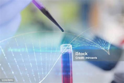 임상 실험실에서 시험관 및 현미경 테스트 또는 연구와 실험실에서 일하는 젊은 여성 실험실 과학자 과학 화학 생물학 의학 및 사람 개념 Dna에 대한 스톡 사진 및 기타