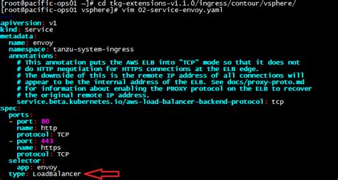 Deploying Contour Ingress Controller On Tanzu Kubernetes Grid Tkg
