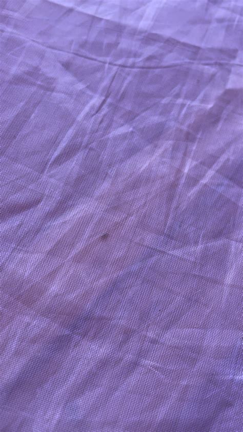 Jumping Bug Rwhatsthisbug