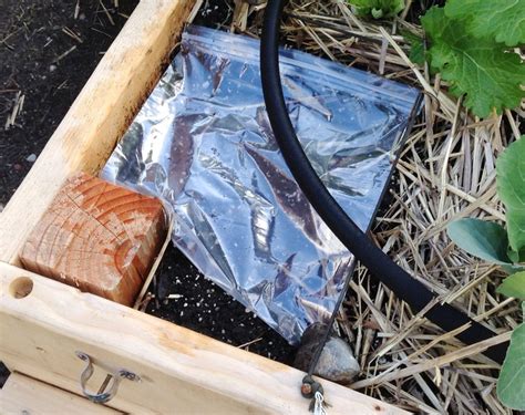 Protect Your Seeds With Ziplock Bags