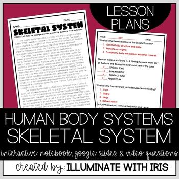 The Skeletal System By Illuminate With Iris TPT The Skeletal System By Illuminate With Iris TPT