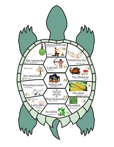 Turtle Shell Calendar