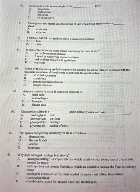 Solved Goblet Cells Would Be An Example Of A Angland A
