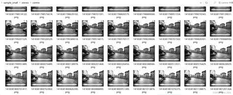 Robotcar数据集提取（转换为彩色图像）robotcar数据集下载下来是黑白的 Csdn博客