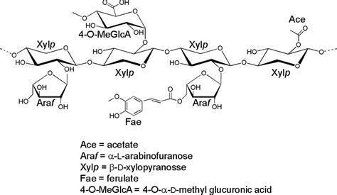 Chemical Structure Of Hemicellulose Compounds Xylan And