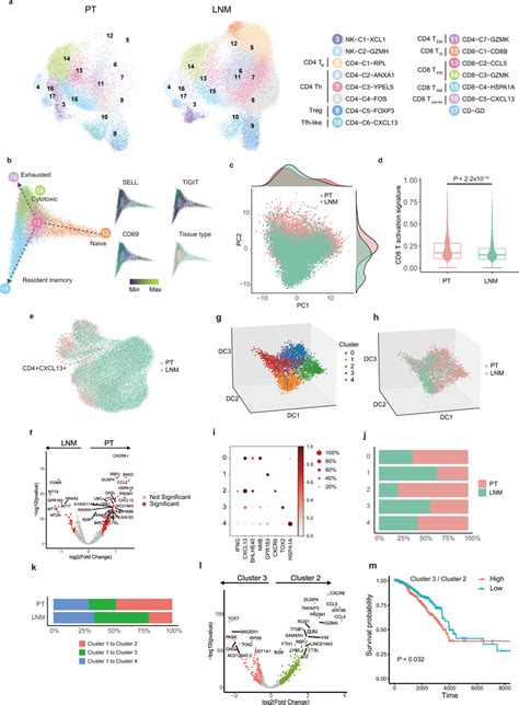 T Cell Activity Suppression In Lnmt A A Umap Embedding Plot Of 58 316 T Download Scientific