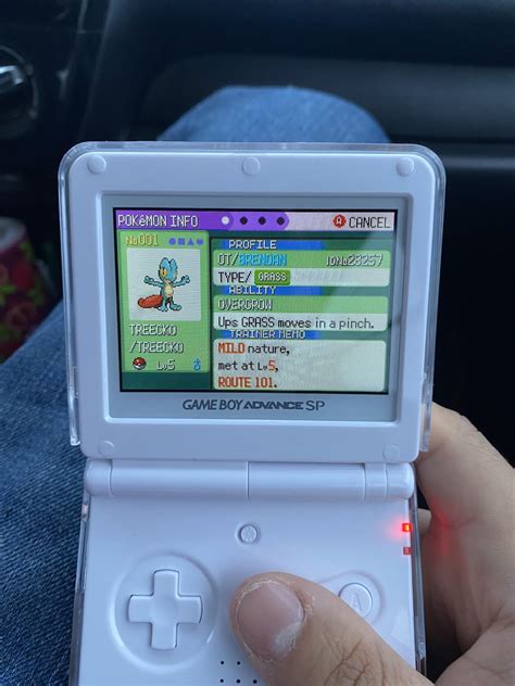 I Got A Shiny Treecko Yesterday R Pokemonemerald