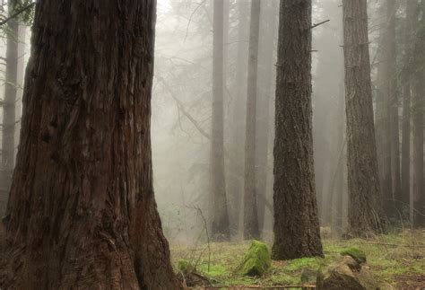 Recoil With Async Data In React And Typescript Javascript In Plain English