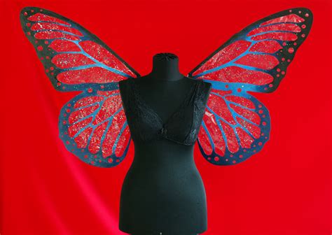 Adult Butterfly Costume