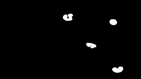 The Segmented Nucleus Region Download Scientific Diagram