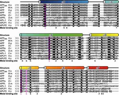 Conservation Analysis Structure Based Sequence Alignments Of