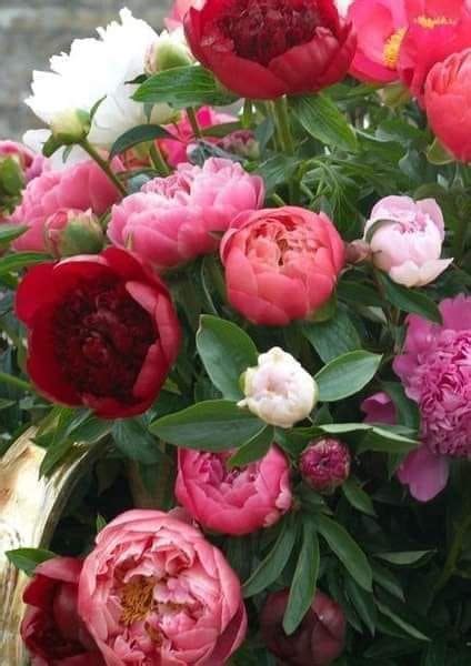 Գրողների միությունում մարտի 8 ի առթիվ Հայ Գրականություն