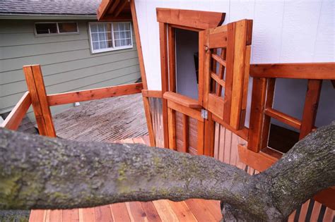 Whimsical Tree House Backyard Fun Factory