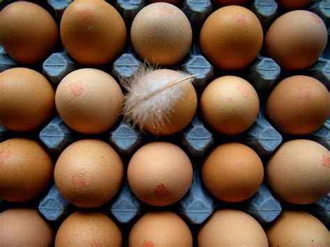 Naming Elixir Map을 합치고 싶을 때 쓰는 To와 Mapmerge Ohyecloudys Pnotes