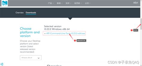 windows 环境下使用vscode搭建nordic官方nrf52833开发环境 csdn博客