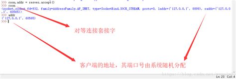 套接字详解（socket） 套接字技术 csdn博客