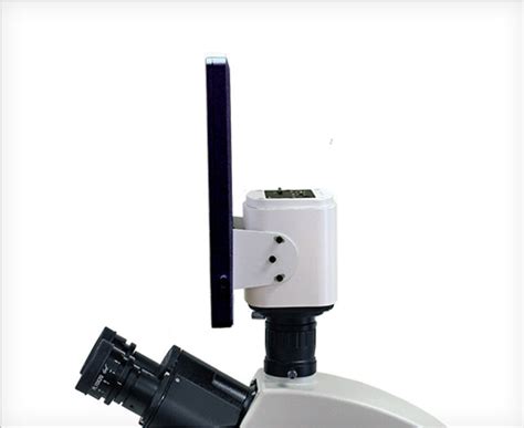 Accu Scope 3001 Led Trinocular Microscope Msi Copy