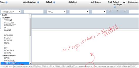 Php Save Time As Integer Timestamp In Mysql Via Pdo As Phpmyadmin Says `timestamp` Is Number