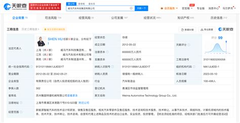 威马汽车所持40亿股权再被冻结人民币信息科技