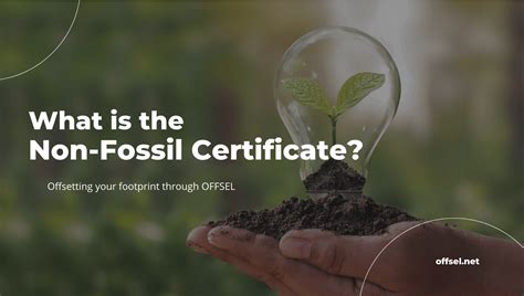 Non Fossil Certificates Explaining Japanese Original Scheme For