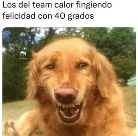 Los Team Calor Meme Subido Por 5chuche5 Memedroid