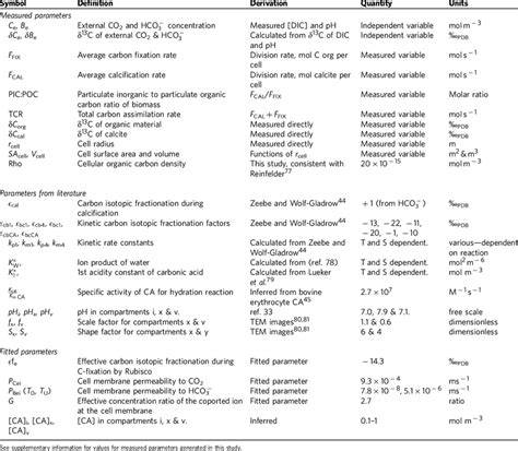 Parameters From The Model Their Definitions Derivation And Units