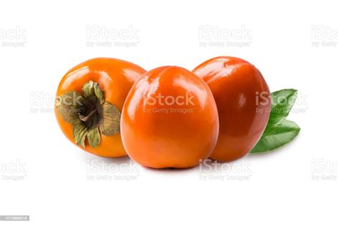 텍스트 복사 공간 감입니다 흰색 배경에 고립 된 오렌지 익은 감 흰색 3 감입니다 감 과일 흰색 배경에 고립입니다 0명에 대한 스톡 사진 및 기타 이미지 Istock