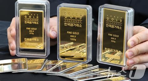 고공 행진 이어가는 금값 뉴스1