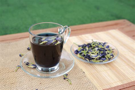 나무 테이블에 유리에서 나비 완두콩의 주스 나비 말린 완두콩과 허브 음료입니다 건조 식품에 대한 스톡 사진 및 기타 이미지 건조 식품 건조한 검은색 Istock