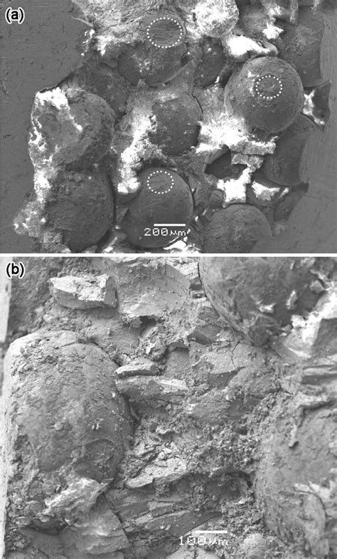 Sem Micrographs Of The Compressive Fracture Surfaces Of Mg Ha Composite Download Scientific
