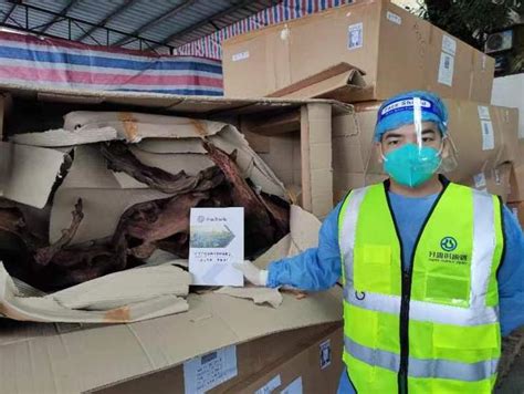 三元催化器进口报关代理手续流程及关税税率【清关知识】 知乎