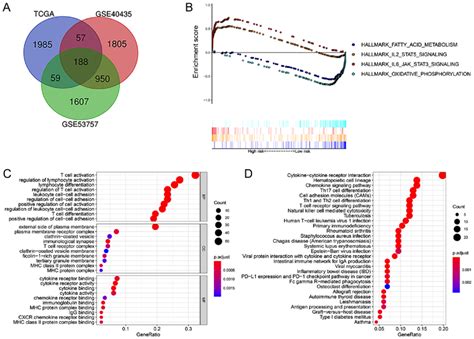A The 188 Overlapping Degs From Three Datasets Tcga Gse40435 And