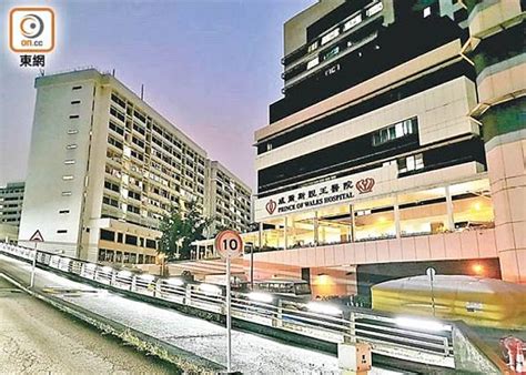 男子牛皮沙街公廁上吊 女友揭發惜太遲 Oncc 東網 Line Today