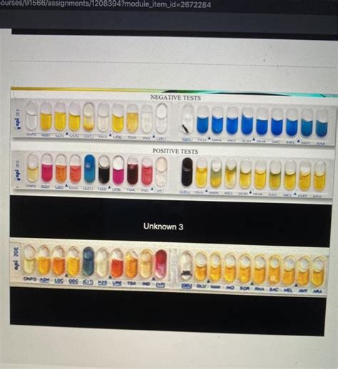 Name API E Lab Answer Sheet What Was Your API Chegg Com