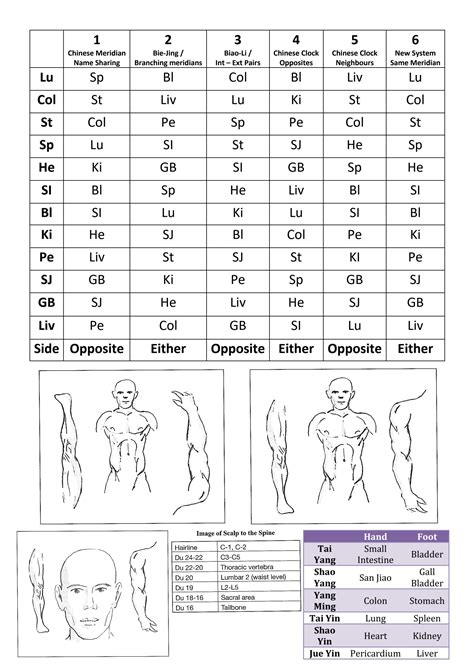Solution Balance Method Matrix Analysis Studypool