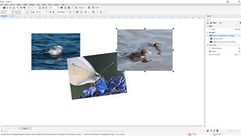 Replace Some Of Adobes Other Programs With Coreldraw Graphics Suite Fstoppers