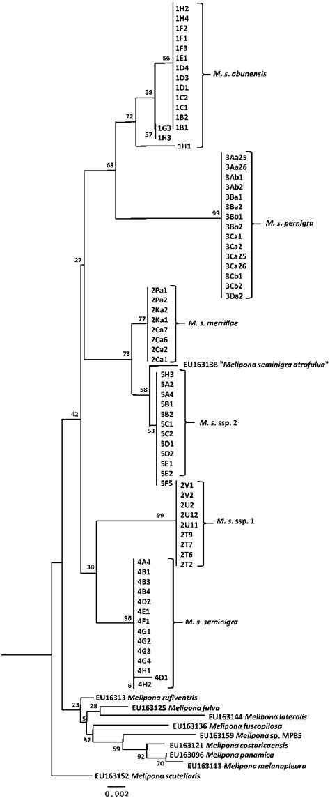 Phylogeny Obtained Using The Species Matrix Which Includes The