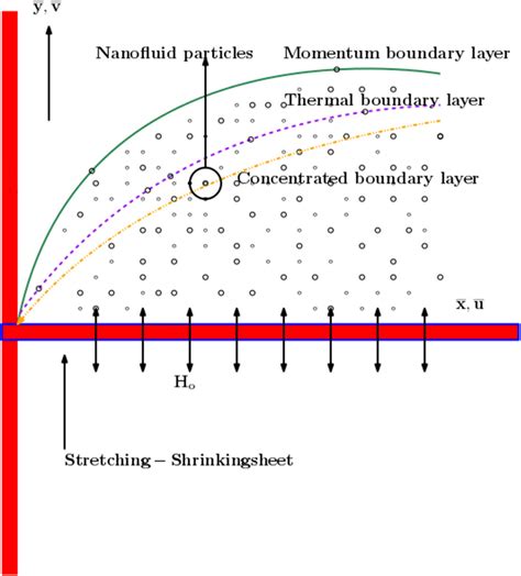 Flow Diagram Of Maxwell Nanofluid For The Permeable Download Scientific Diagram