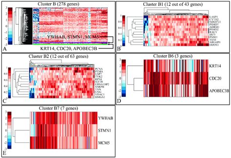 Hcl Of The K Means Clusters Presented In Figure 2d Cluster B A And