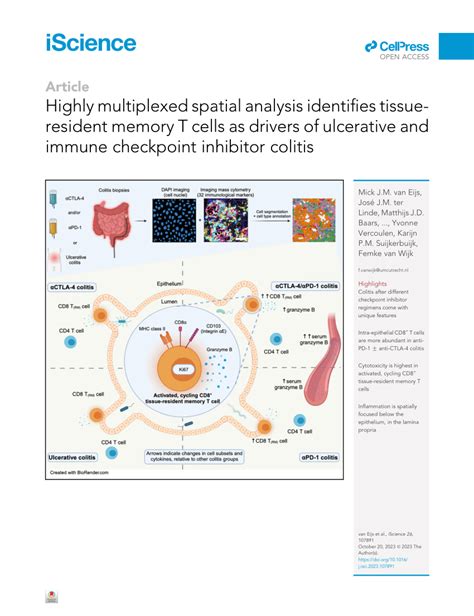 Pdf Highly Multiplexed Spatial Analysis Identifies Tissue Resident