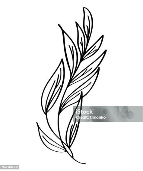 손으로 그린 현대 꽃 그리기 및 스케치 T셔츠 가방 포스터 인사장 격리에 대 한 벡터 일러스트 레이 션 웨딩 디자인 라인 아트와 꽃 흰색 배경 검은색에 대한 스톡 벡터 아트