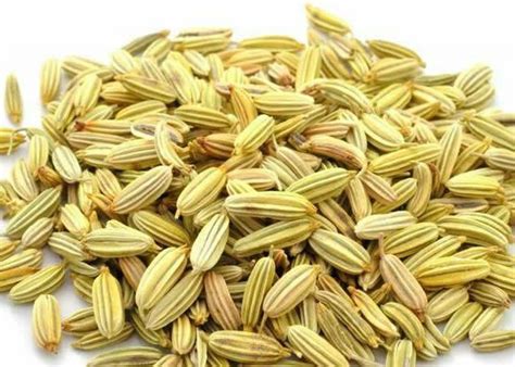 صادرات رازیانه اپلیکیشن زینگ باربری آنلاین