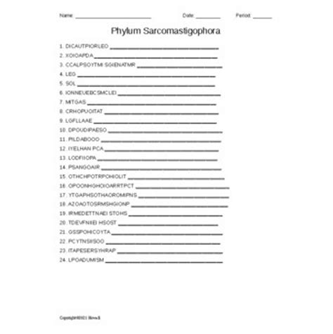 Phylum Sarcomastigophora Word Scramble For Invertebrate Biology Amped Up Learning