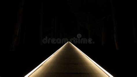 Pathway Through Forest At Night Stock Illustration Illustration Of